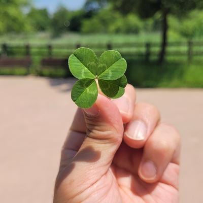 Pi is a four-leaf clover